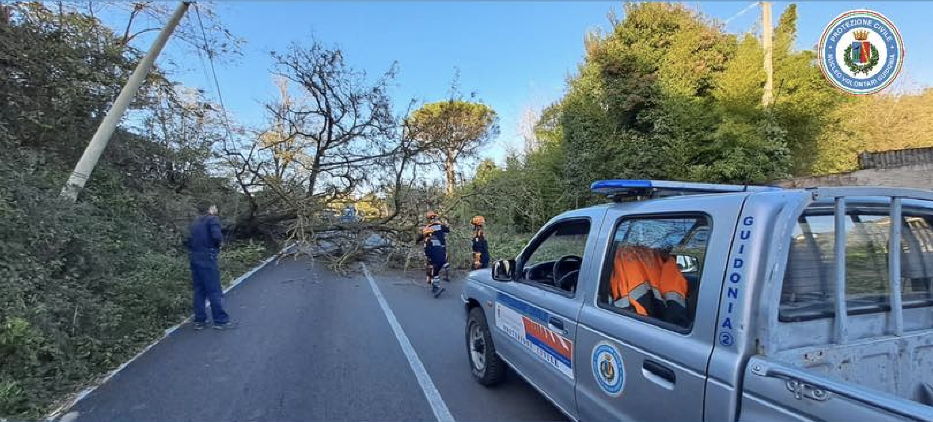 SANT'ANGELO ROMANO - Crolla un albero, paura sulla via Palombarese ...