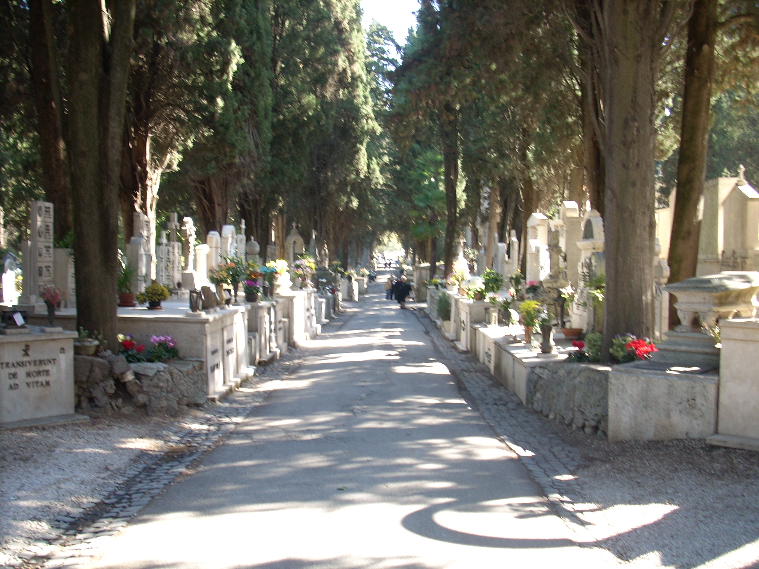 TIVOLI - Forno crematorio, il Tar assegna l'appalto ad “Edilver” e ...