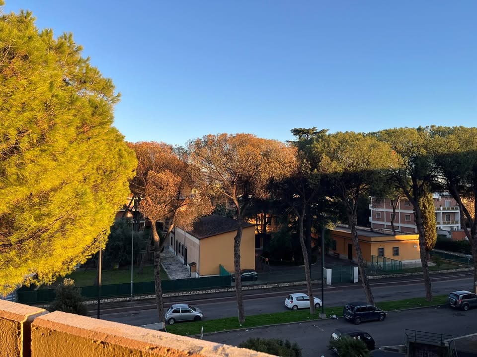 TIVOLI - Città più bella, 8 mila euro per abbattere altri pini secchi ...